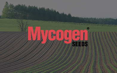Mycogen Seeds Revitalizes Website to Grow Stronger Customer Connections ...